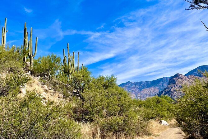 Guided 2 Hour Horseback Ride Catalina State Park Coronado Forest - A Detailed Look at the Experience