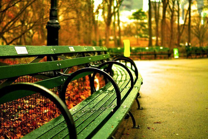Guided Admission to Modern Art and Metropolitan Museums in NYC - A Scenic Walk through Central Park and Fifth Avenue