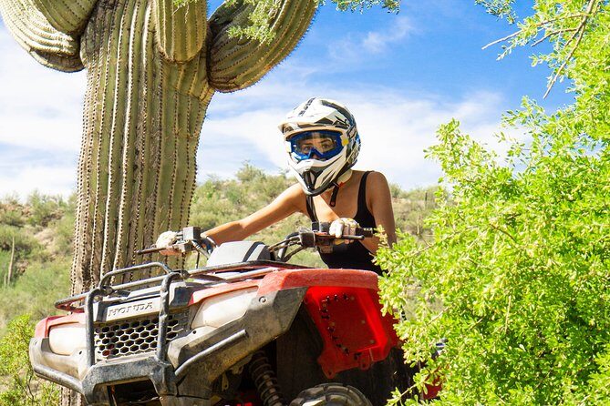 Guided Arizona Desert Tour by ATV - Centipede Tour - Authentic Reviews and What Travelers Say