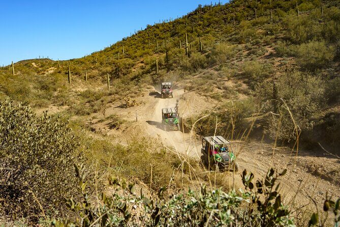 Guided Arizona Desert Tour by UTV - Centipede Tour - The Experience in Detail