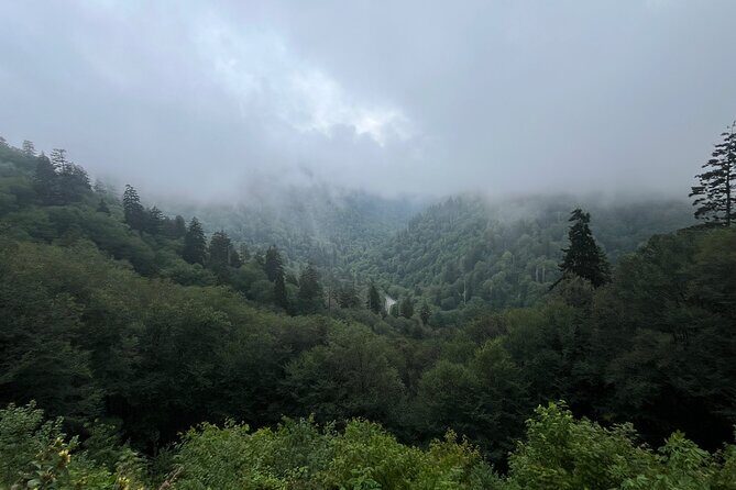 Guided Art Adventure Hikes in Great Smoky Mountains Natl Park - What Travelers Say