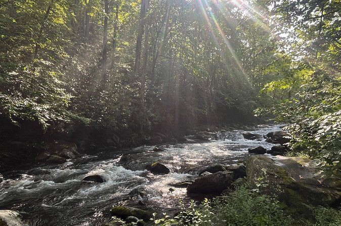Guided Art Adventure Hikes in Great Smoky Mountains Natl Park - The Sum Up: Is It Worth It?