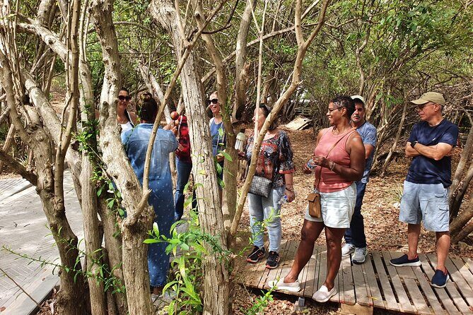 Guided Art Heritage Nature Tour - The Sum Up