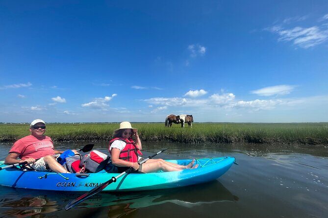 Guided Assateague Kayaking and Wildlife Discovery Tour - Who Will Love This Tour?