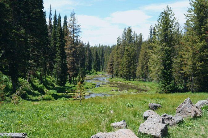 Guided ATV Tours and Explore Hidden Gems in the Yellowstone area - Is This Tour Worth It?