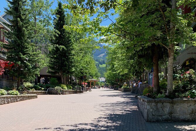 Guided Bike /E-bike Tour in Whistler From Vancouver - The Return Trip and End of the Day