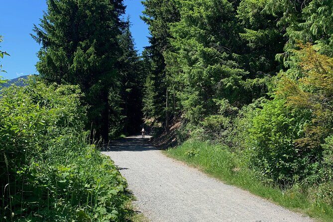 Guided Bike /E-bike Tour in Whistler From Vancouver - Why Reviewers Love This Tour