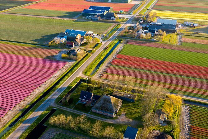 Guided Bike Tour along the Dutch Tulip Fields in Noord Holland - Introduction