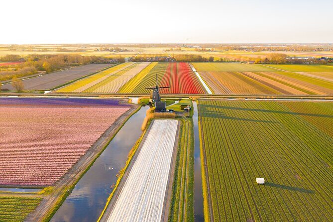 Guided Bike Tour along the Dutch Tulip Fields in Noord Holland - An In-Depth Look at the Tour
