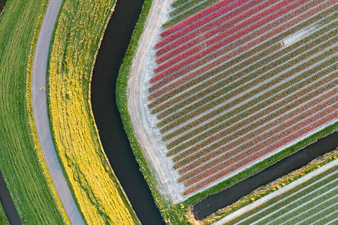 Guided Bike Tour along the Dutch Tulip Fields in Noord Holland - Who Is This Tour Best For?