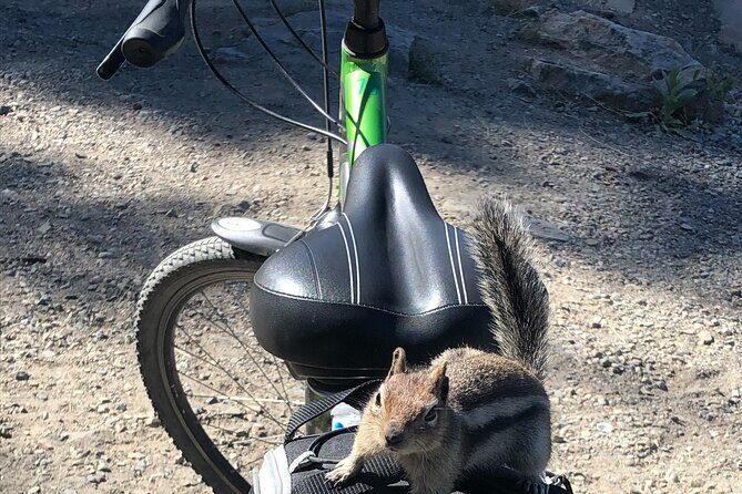 Guided Bike Tour on Historical Kettle Valley Railway at Myra Canyon & Wine Tour - Key Points