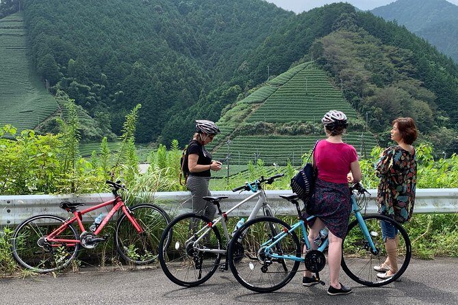 Guided Bike Tour to a Green Tea Farm in Shizuoka (not e-bikes) - Analyzing the Value