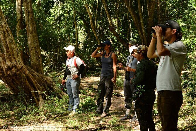 Guided Bird Watching Private Tour in TOH Nature Reserve - Why This Tour Is Worth Considering