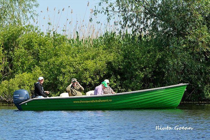 Guided Birdwatching day trip to the Danube Delta - private program - Key Points