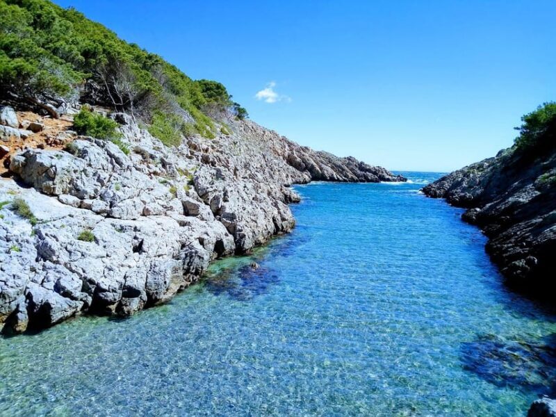 Guided Boat Tour to Medes Islands & Roca Foradada with Swim - Who Will Love This Tour?