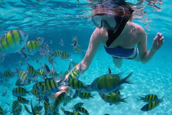 Guided by Divemaster, Cabo San Lucas short Snorkeling Tour MANTA - Key Points
