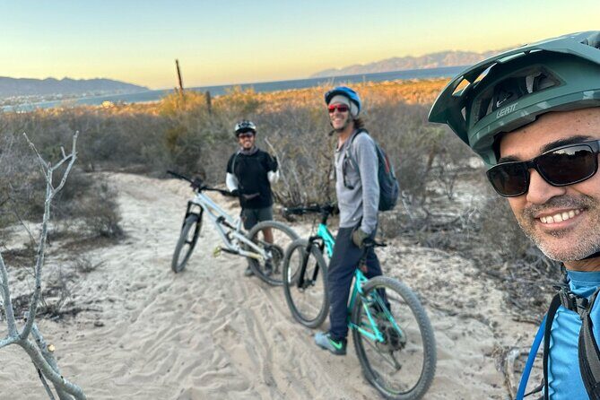 Guided Cactus Forest Mountain Bike Experience in La Ventana - Analyzing the Value