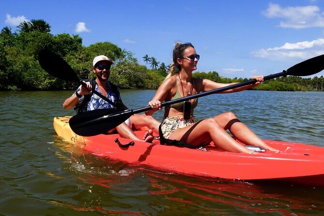 Guided Canoeing in Negombo - An In-Depth Look at Guided Canoeing in Negombo