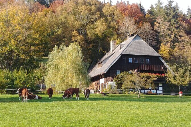 Guided cider tasting - Setting and Location
