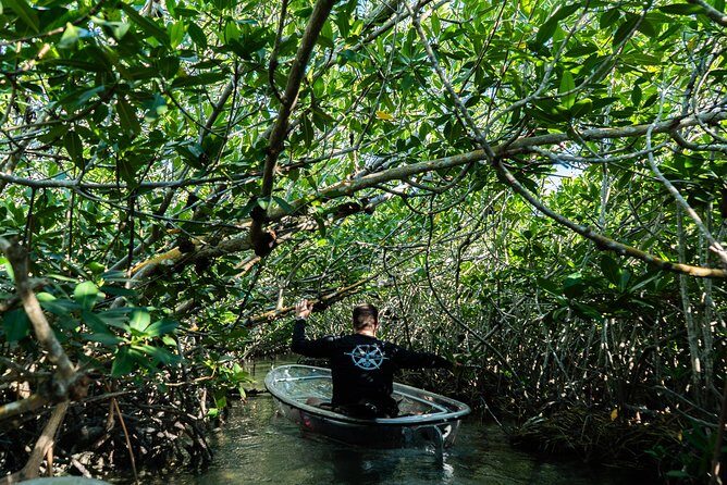 Guided Clear Kayak Eco-Tour Near Key West - Exploring the Itinerary: From Land to Water