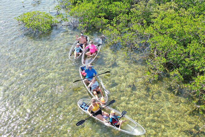 Guided Clear Kayak Eco-Tour Near Key West - The Good, the Not-So-Good, and the Practical Details