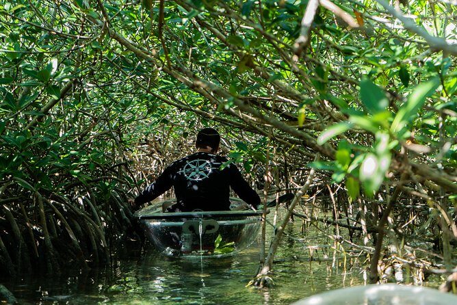 Guided Clear Kayak Eco-Tour Near Key West - Authentic Traveler Insights: What the Reviews Reveal