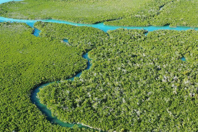 Guided Clear Kayak Eco-Tour Near Key West - FAQ: Your Questions Answered