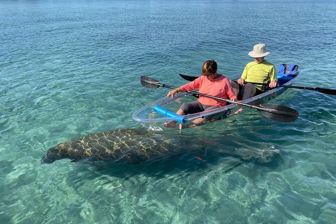 Guided Clear Kayak Eco-Tour of Jupiter - An In-Depth Look at the Jupiter Guided Kayak Experience