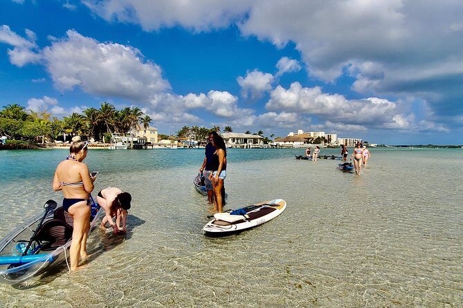 Guided Clear Kayak Eco-Tour of Jupiter - The Itinerary: A Breakdown of the Highlights
