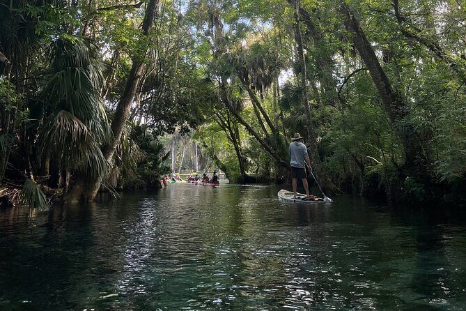 Guided Clear Kayak Tours on the Silver River - Key Points