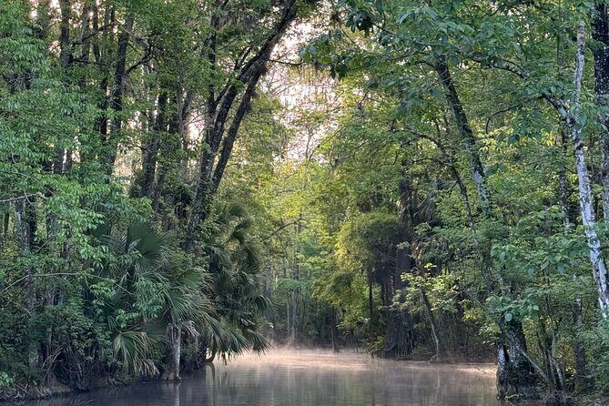Guided Clear Kayak Tours on the Silver River - Analyzing Value and Overall Experience