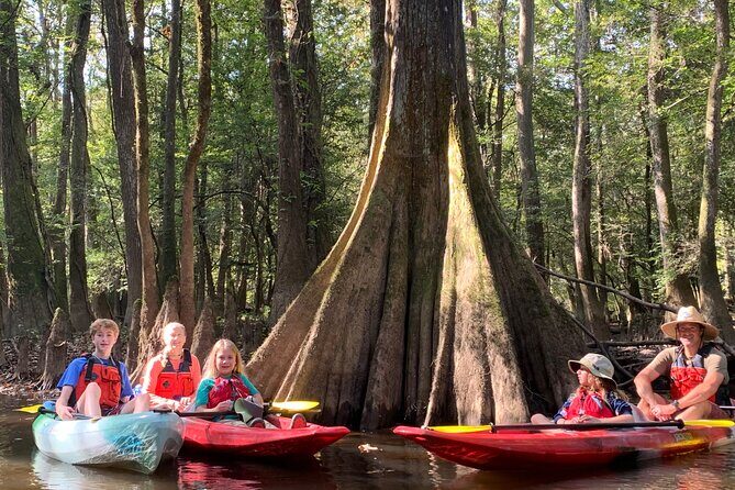 Guided Congaree National Park Kayak Tour - Setting the Scene: Exploring Congaree from the Water