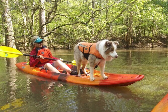 Guided Congaree National Park Kayak Tour - Authentic Experiences from Fellow Travelers