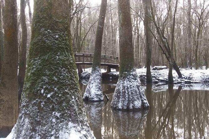 Guided Congaree National Park Kayak Tour - Final Thoughts: Who Should Book This Tour?