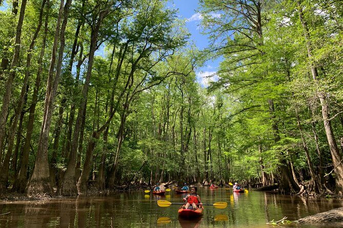 Guided Congaree National Park Kayak Tour - FAQs