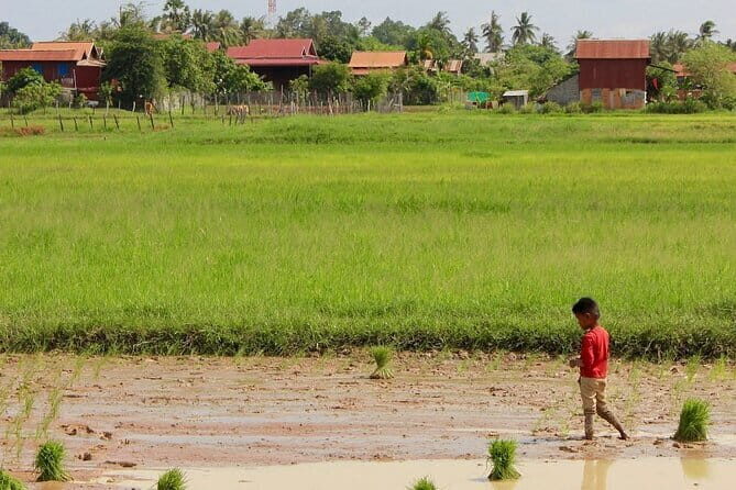 Guided Countryside Bike Tour with Local Insights - An In-Depth Look at the Tour Itinerary