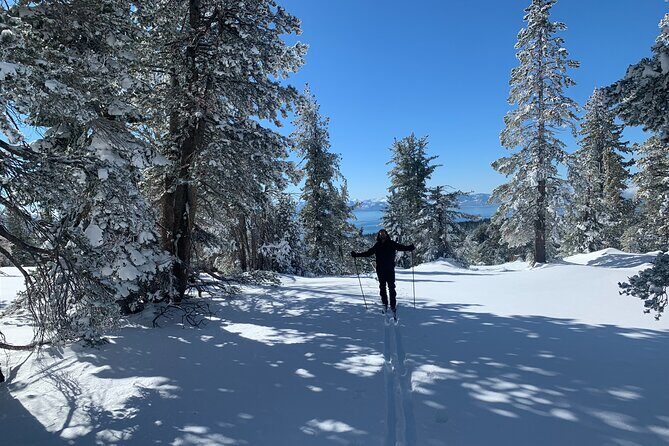Guided Cross Country Skiing at Lake Tahoe - What to Expect from Your Guided Cross Country Ski Experience