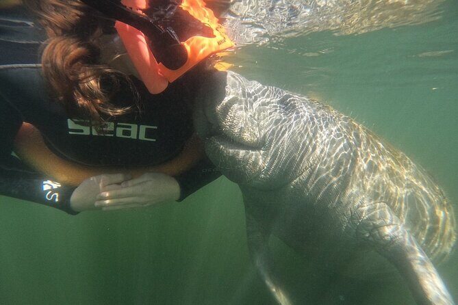 Guided Crystal River Manatee Snorkeling Tour - The Value of the Tour — Is It Worth the Price?
