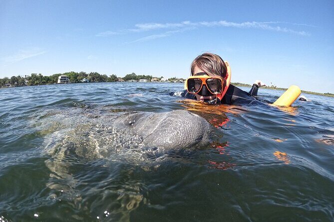 Guided Crystal River Manatee Snorkeling Tour - The Broader Context — Why Choose This Tour?