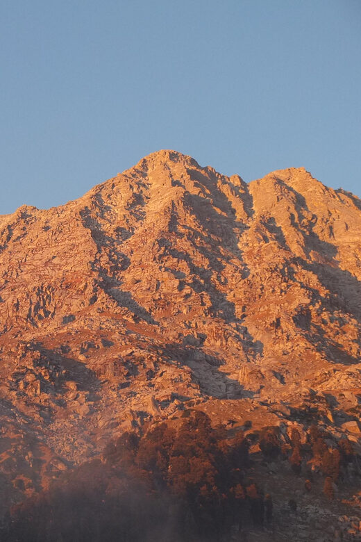 Guided Day Hike to Birni Devi Temple from Palampur - Why Choose This Tour?