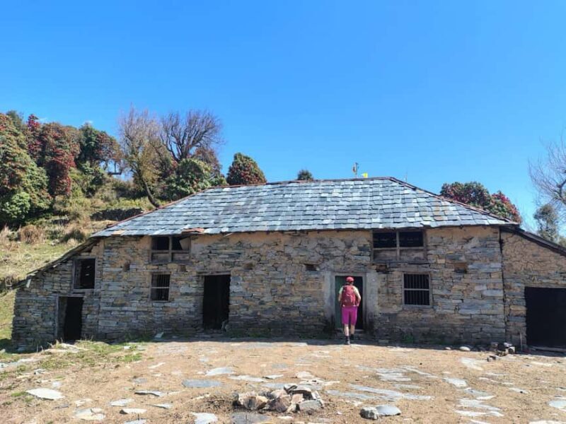 Guided Day Hike to Birni Devi Temple from Palampur - Who Would Love This Experience?