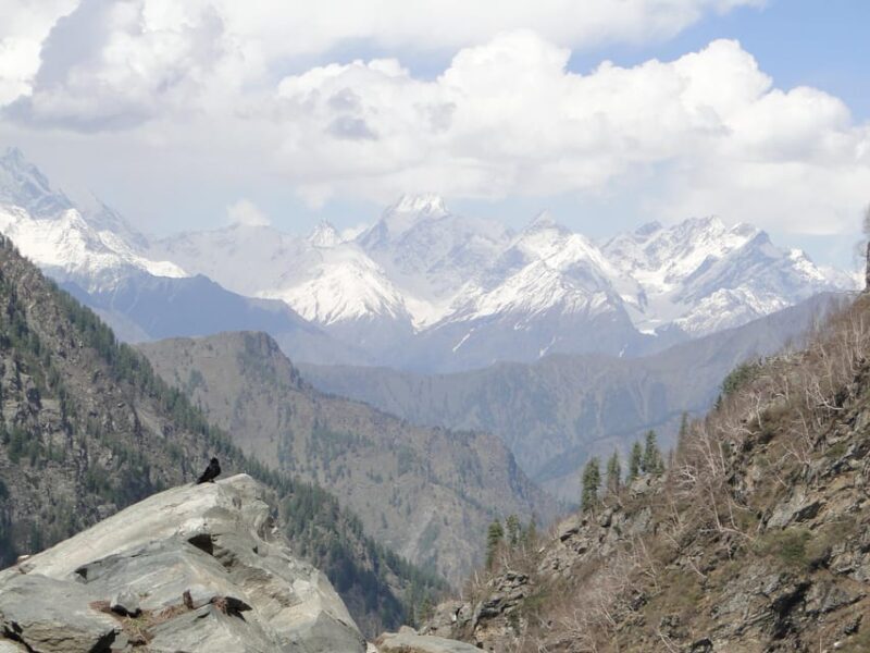 Guided Day Hike to Birni Devi Temple from Palampur - Authentic Experiences and Stories