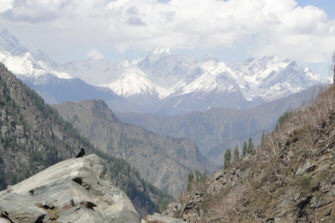 Guided Day Hike to Guna Devi Temple from Mcleodganj - What Travelers Say