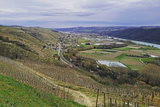 Guided Day Tour and Wine Tasting Northern Rhône Valley - Final Thoughts