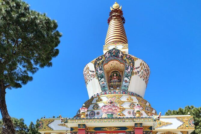 Guided Day Tour to Bir  Monasteries,Temple & Tea Garden Visit - FAQ