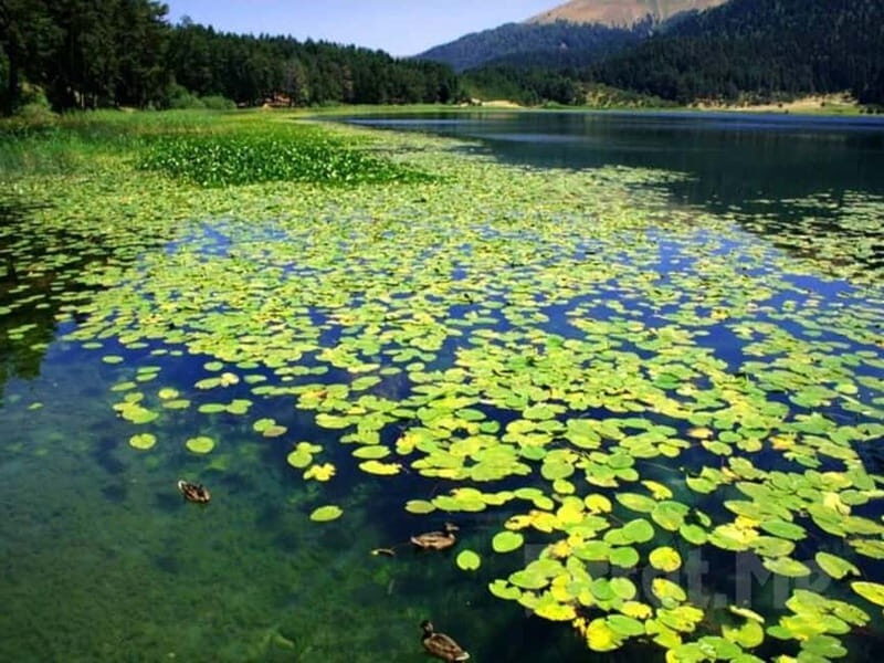 Guided Day Trip to Sapanca and Masukiye From Istanbul - How to Make the Most of Your Day
