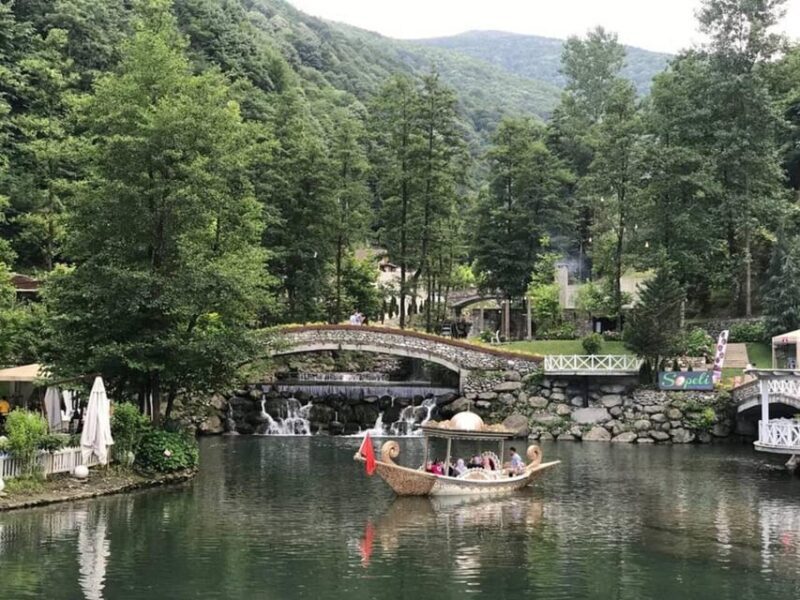 Guided Day Trip to Sapanca and Masukiye From Istanbul - Who Is This Trip Best For?