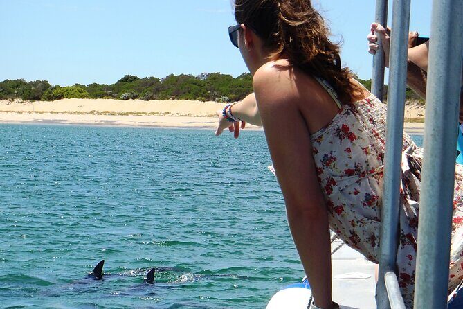 Guided Dolphin Eco-Cruise in Koombana Bay - Why Travelers Keep Coming Back