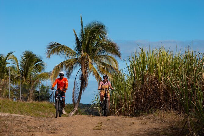 Guided E-bike Tour - What is the Tour All About?