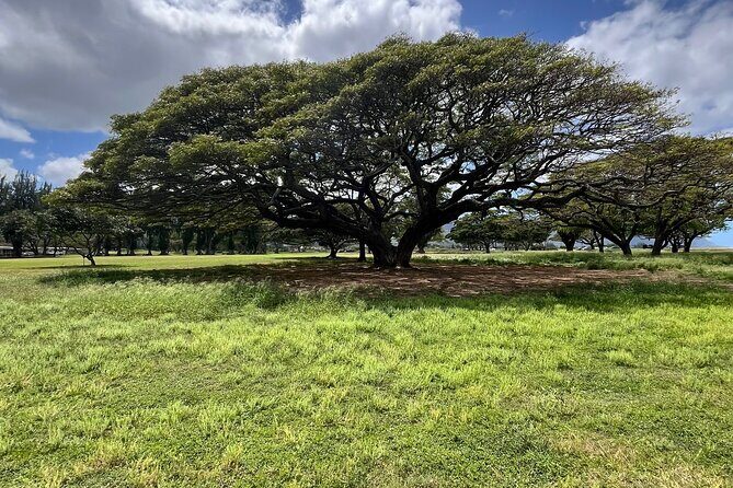 Guided E-Bike Tour in North Shore - Practical Details for Planning Your Tour
